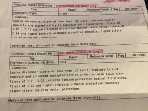 Dog Titer Test: Should I Titer or Vaccinate My Dog? - Fidose of Reality