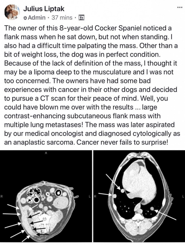 Unexpected Warning Signs of Dog Cancer - Fidose of Reality