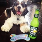 Dealing With Guilt From The Accidental Death Of My Dog - Fidose of Reality