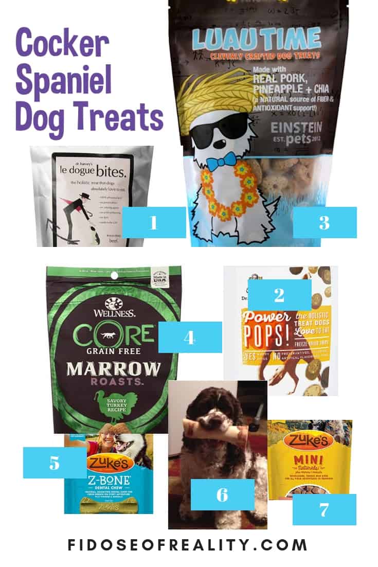 84 Best Cocker Spaniel Gifts Online Edition - Fidose of Reality
