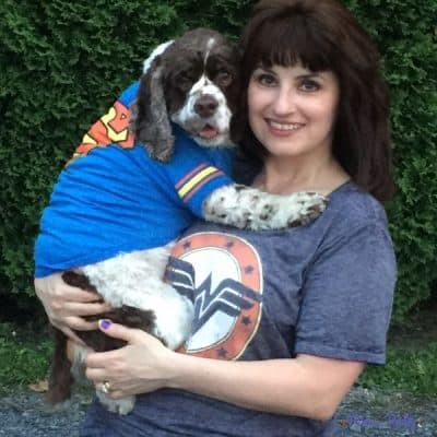 Do Cocker Spaniels Like To Cuddle? 15 Dog Parents Share - Fidose of Reality