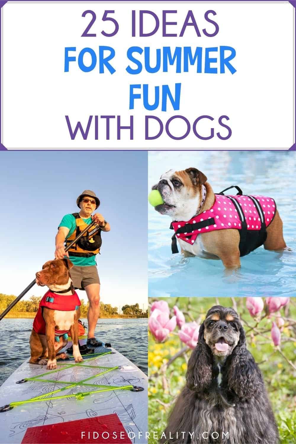 25 Ideas For Summer Fun With Your Dog - Fidose of Reality