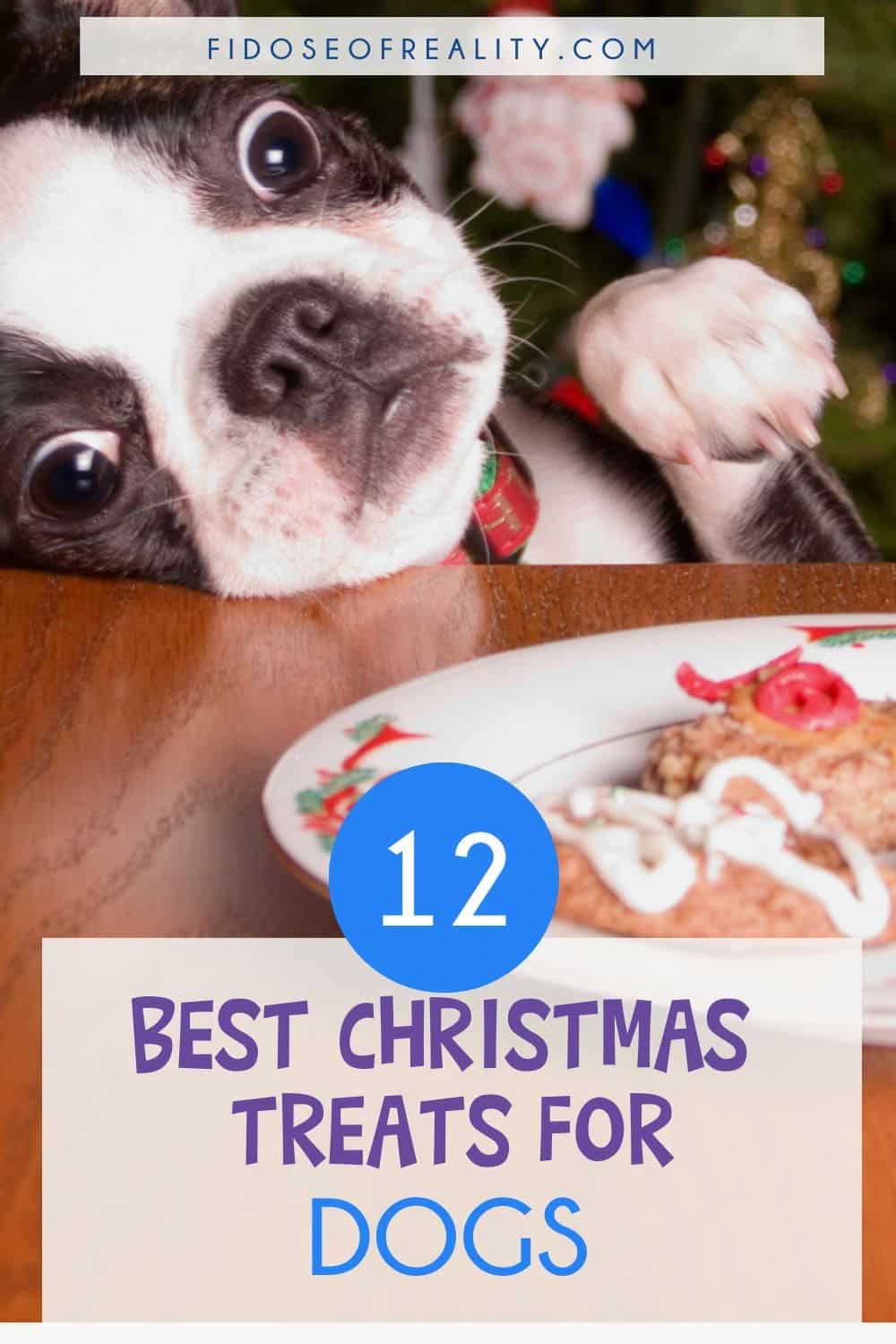12 Best Christmas Treats For Dogs - Fidose of Reality