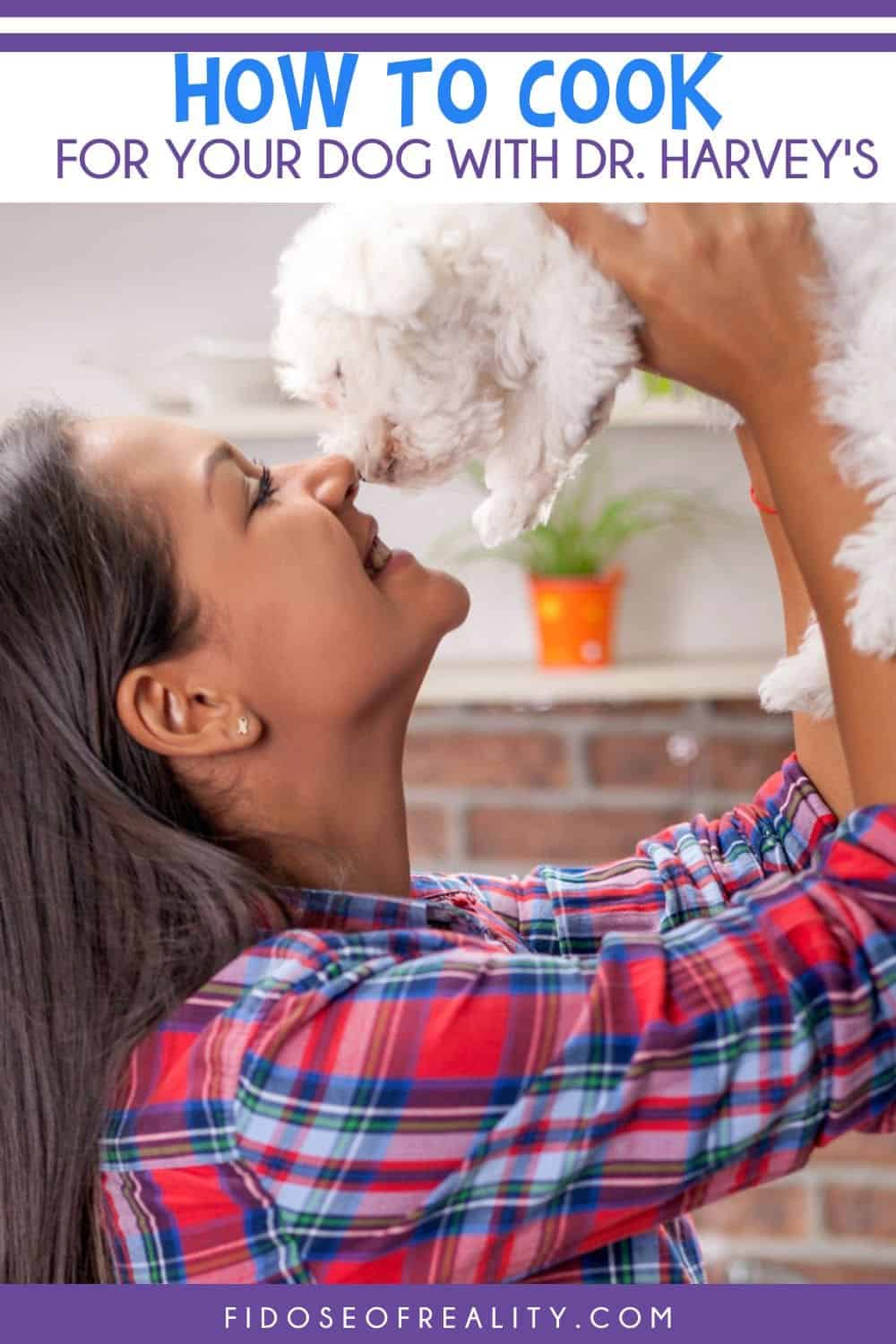 How To Cook For Your Dog With Dr. Harvey's - Fidose of Reality