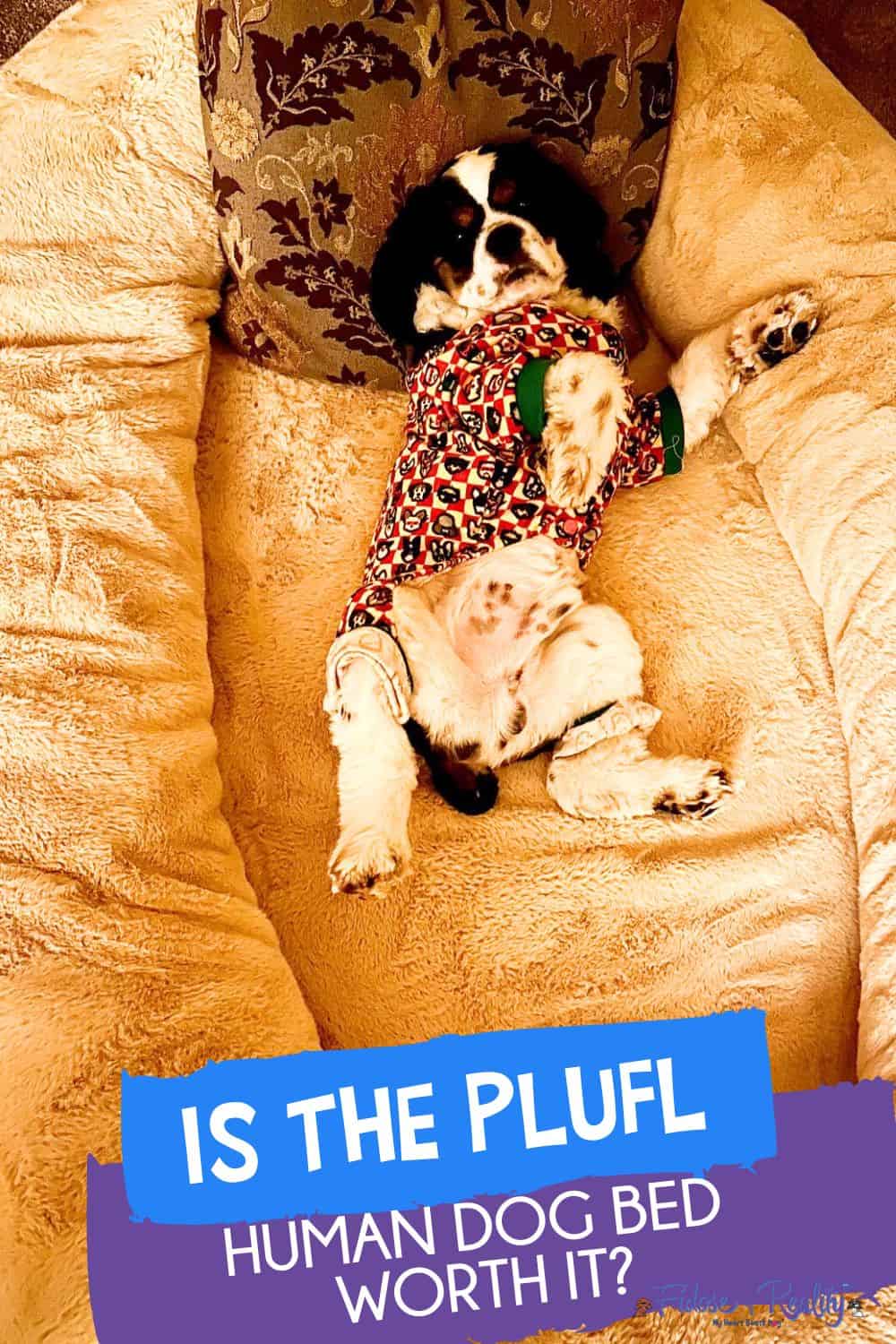 Is The Plufl Human Dog Bed Worth It? I Bought One To Find Out - Fidose ...