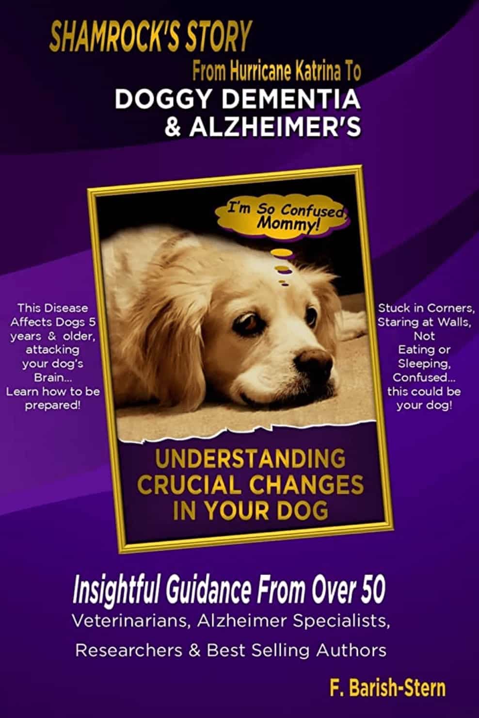 Dementia In Dogs: Symptoms, Treatment, and Sundowning - Fidose of Reality