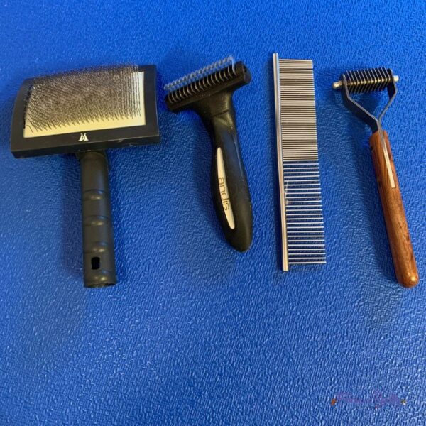 How To Groom A Cocker Spaniel At Home: How To Guide - Fidose of Reality