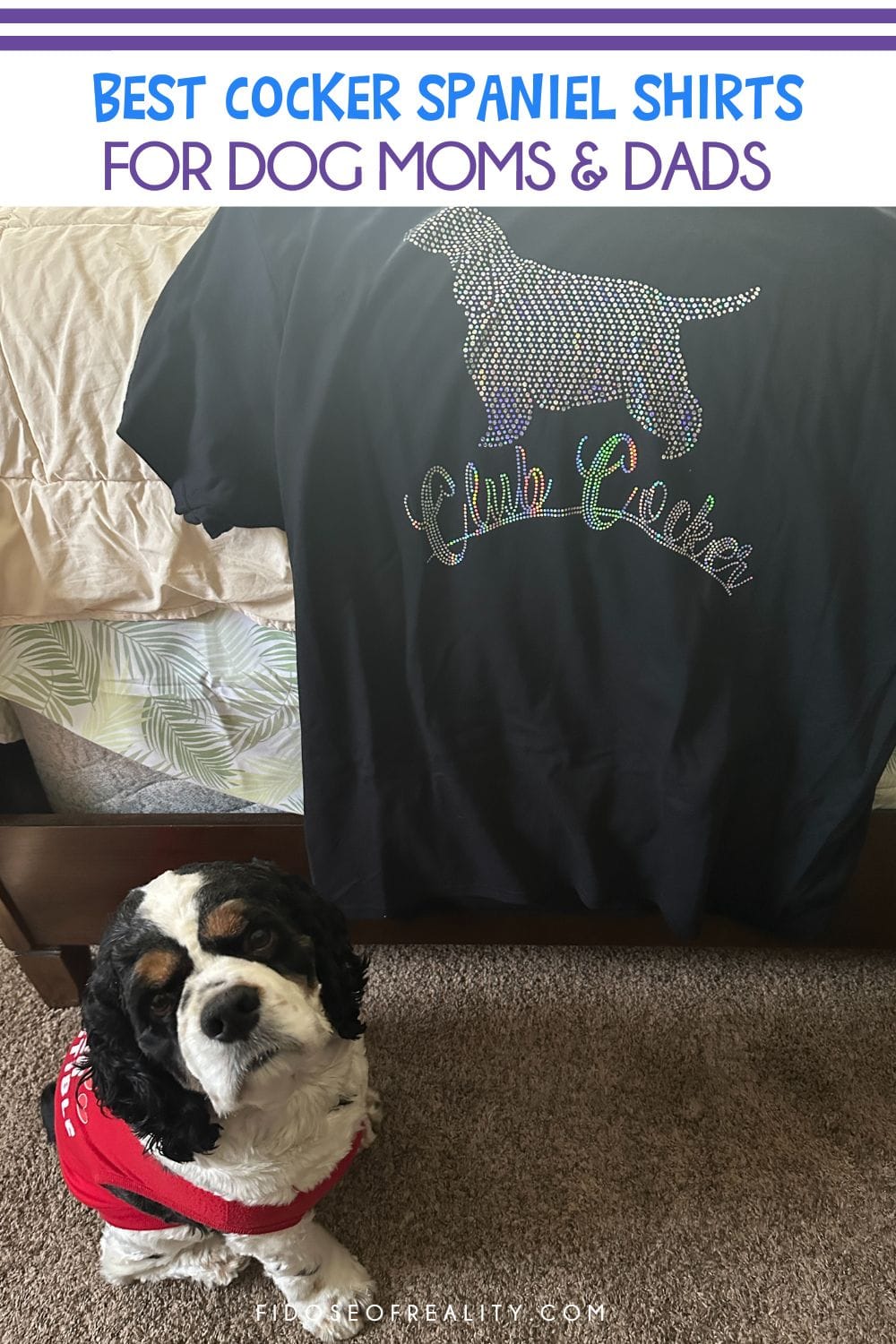I Found the Best Cocker Spaniel Shirts for Dog Moms and Dads - Fidose ...