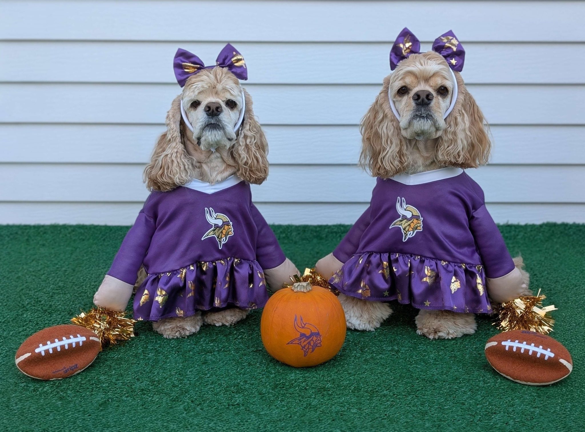 Fidose of Reality Dog Halloween Photo Contest 2025 Winners - Fidose of ...